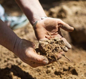 Hands Holding Dirt Closeup - H2 Environmental Consulting Services