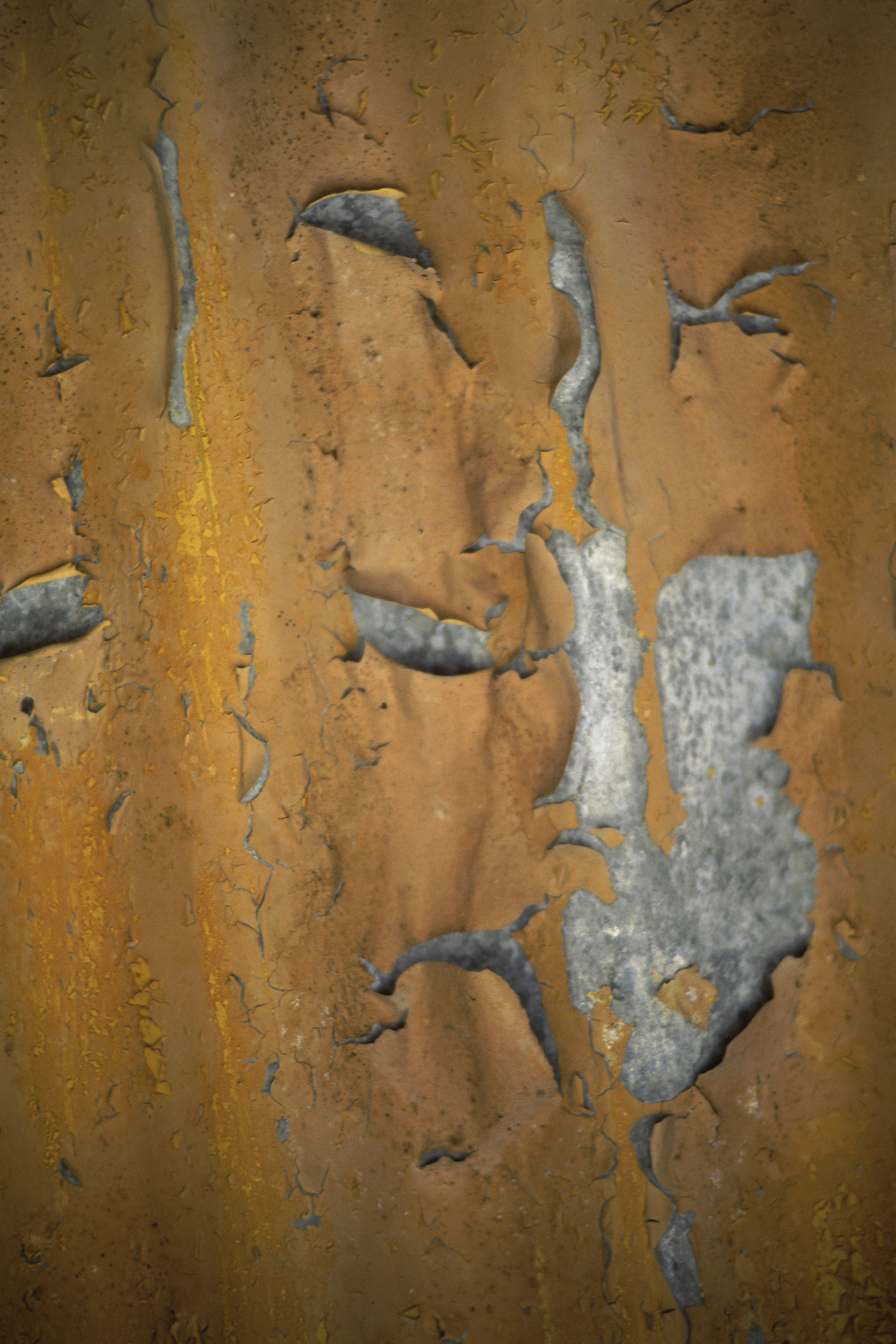How to Prevent Lead Contamination in the Home | H2 Environmental